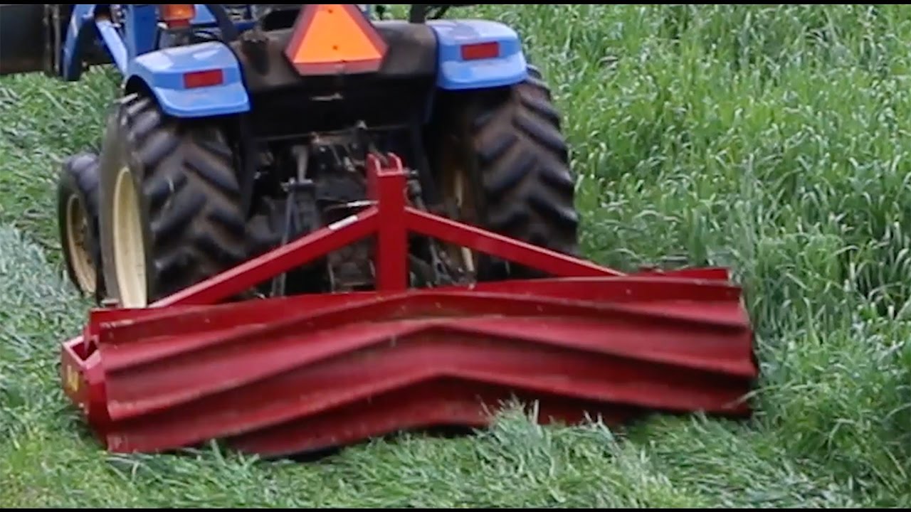 Organic and sustainable - Plavinci Organic Winery - Belgrade